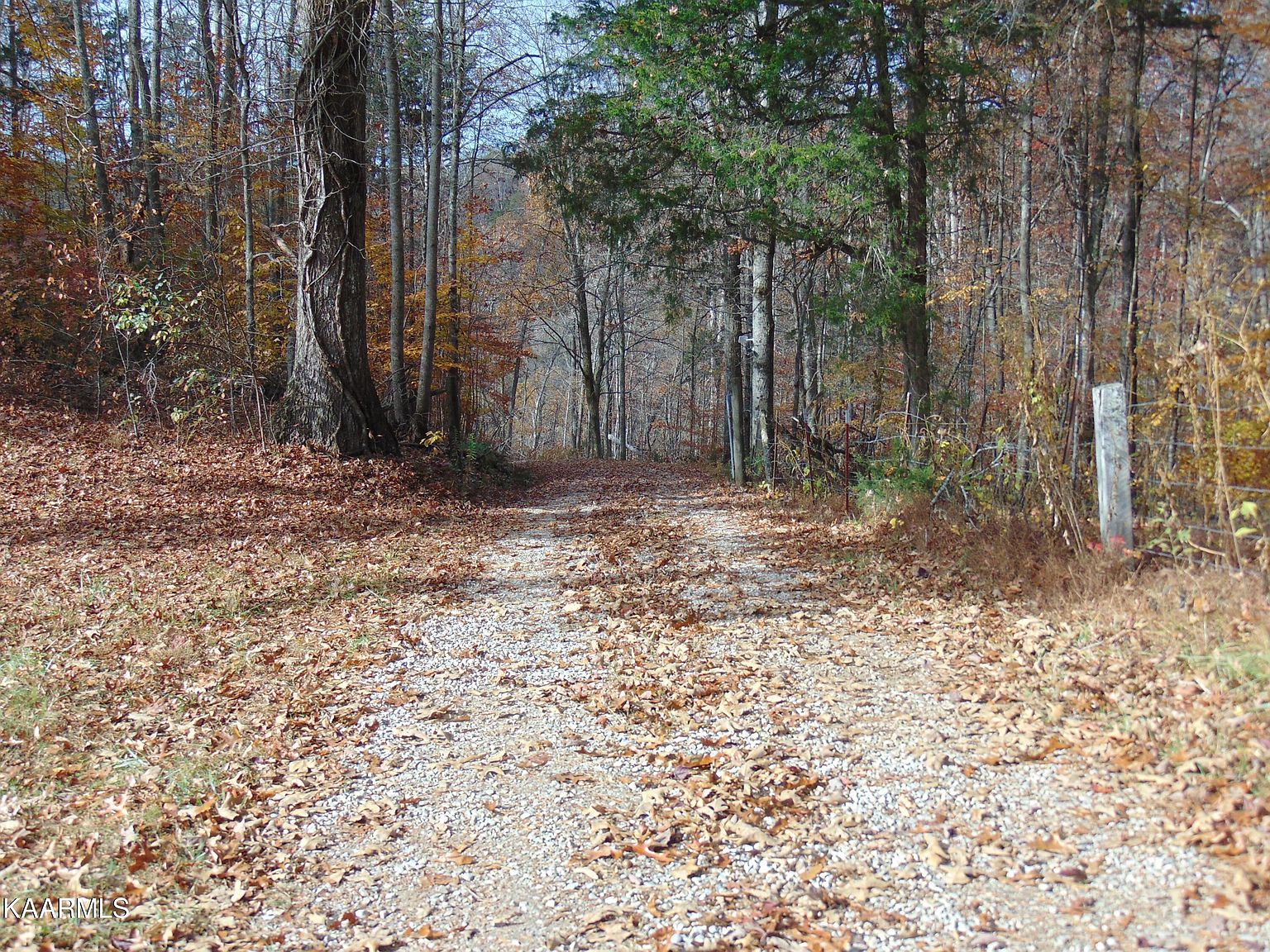 289 Bailey Dr #0, Speedwell, TN 37870 | Zillow