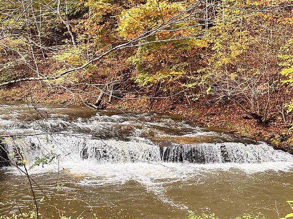 2039 Erbacon Rd, Cowen, WV 26206 | MLS #10151600 | Zillow