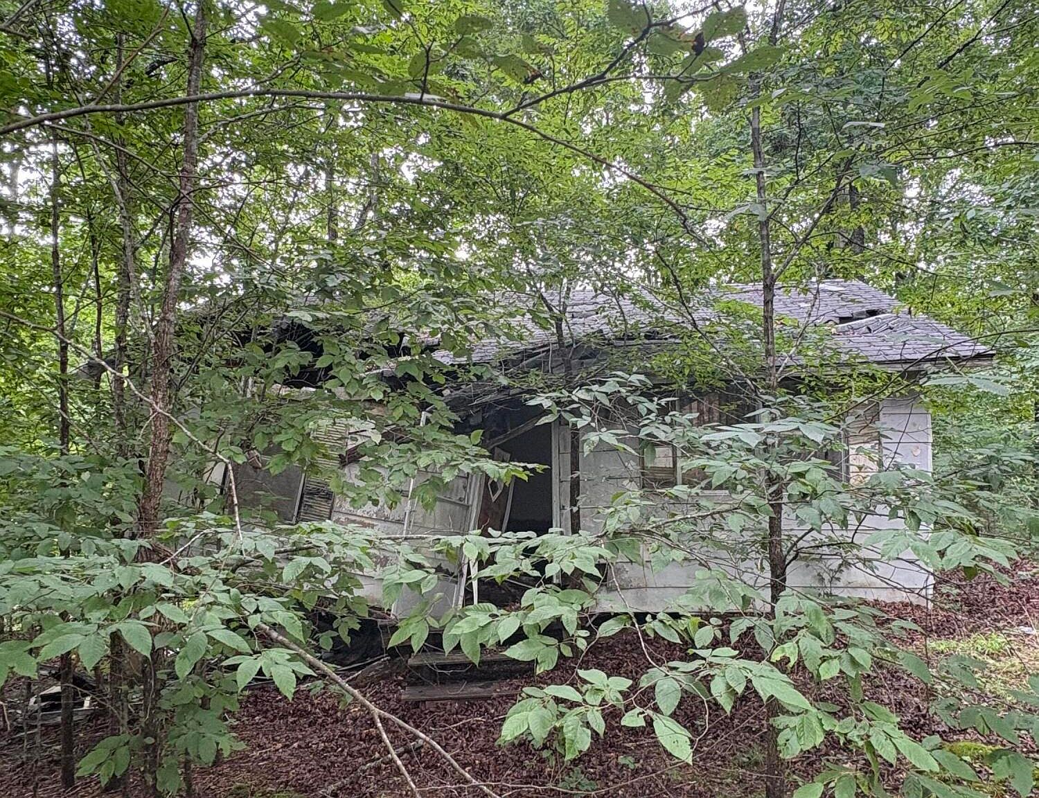 0 Walnut Cir, Sugar Tree, TN 38380 | MLS #2502868 | Zillow