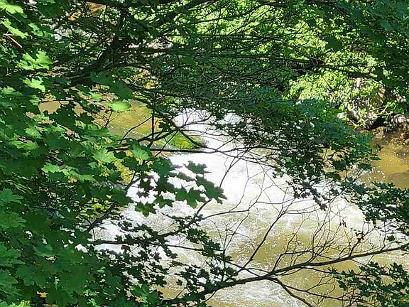 532 Elizabeth St, Petoskey, MI 49770 | MLS #470398 | Zillow