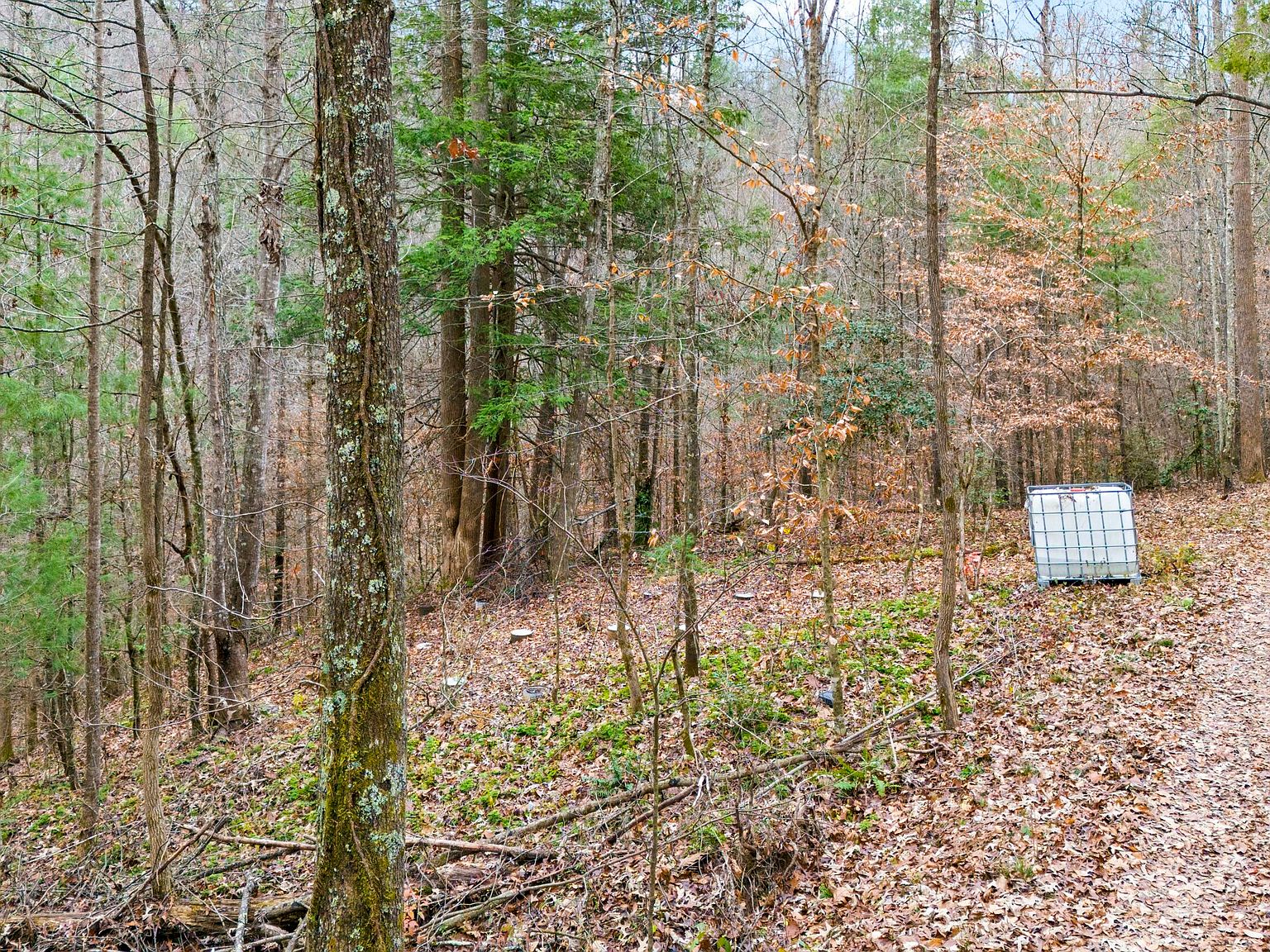 21 Lacy Ln, Campton, KY 41301 | MLS #24025789 | Zillow