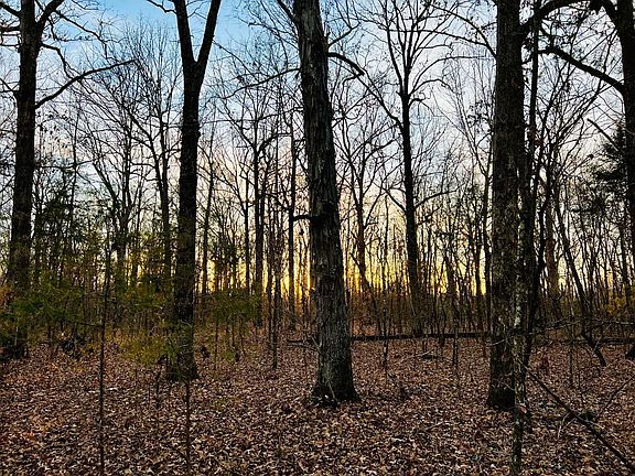 6121 Cr, Baldwyn, MS 38824 | MLS #24-133 | Zillow