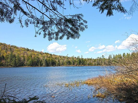 281 Stock Ln, Inlet, NY 13360 | MLS #178690 | Zillow