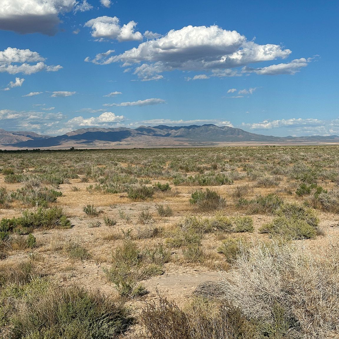 6200 S 3000 W, Delta, UT 84624 | MLS #2019612 | Zillow