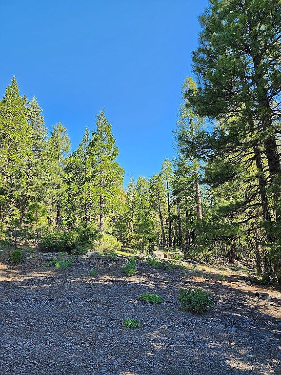 0 California Pines Blvd LOT 53, Alturas, CA 96101 | Zillow