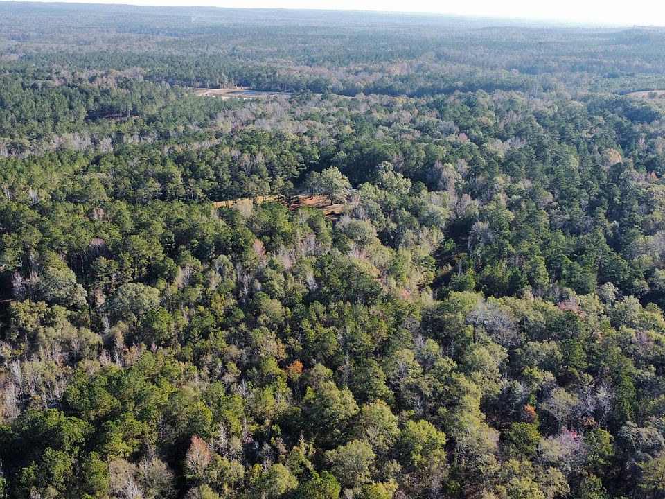 County Road 12, Pittsview, AL 36871 | Zillow