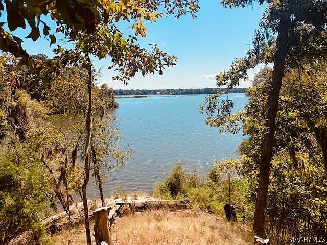 3 Prairie Blf, Catherine, AL 36728 | Zillow