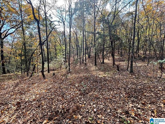 County Road 30 #1, Columbiana, AL 35051 | Zillow