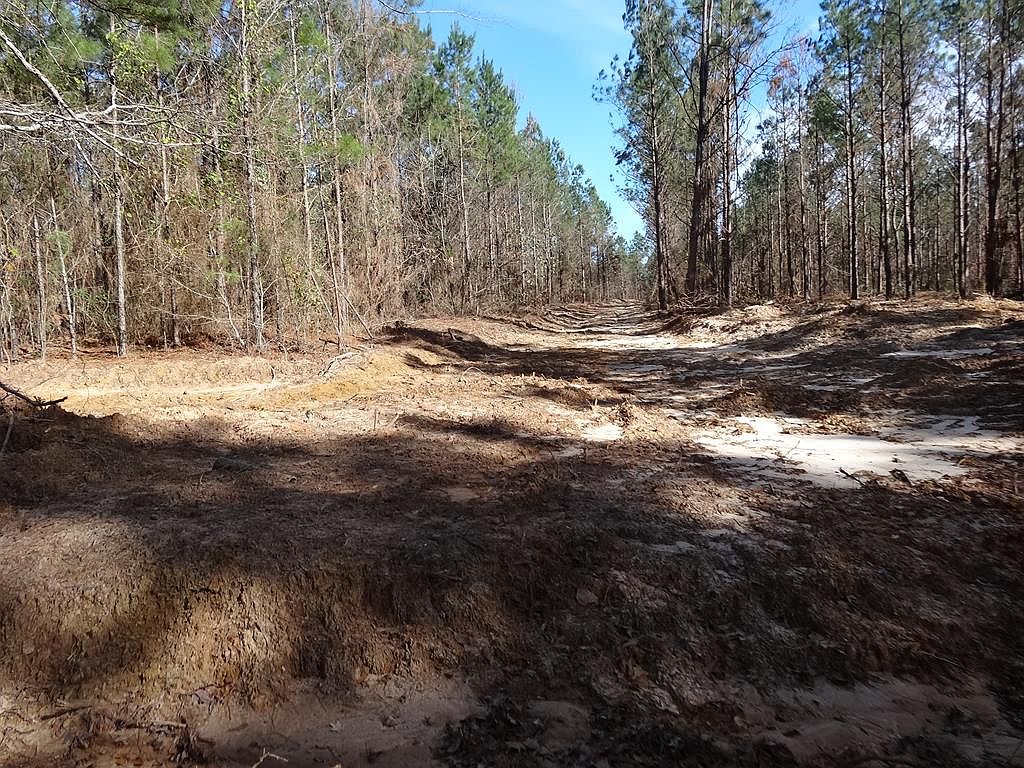 County Road 979 Cushing Tx 75760 Zillow