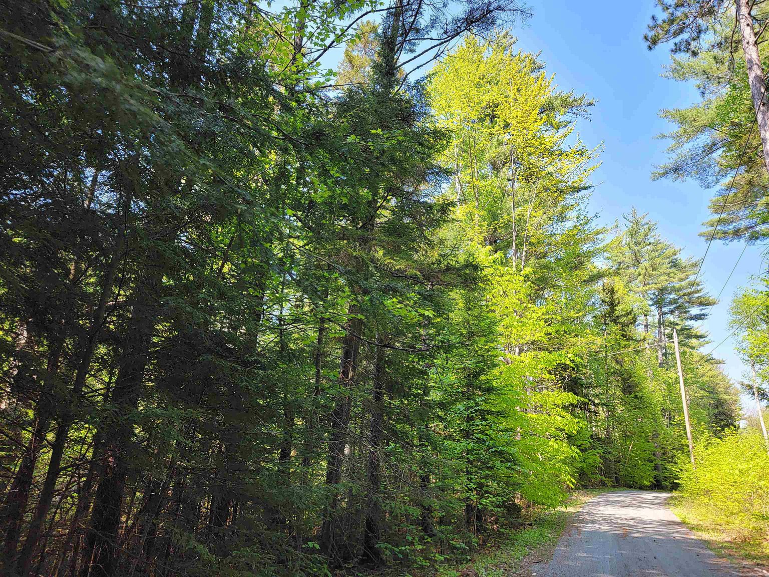 Lot 6 Sugar Hill Road, Franconia, NH 03580 | MLS #4921687 | Zillow