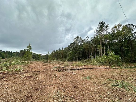 4 County Road 2215, Ethel, MS 39067 | MLS #11348468 | Zillow