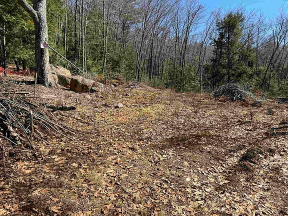 Lot 44 Bog Road, Hillsborough, NH 03244 | Zillow
