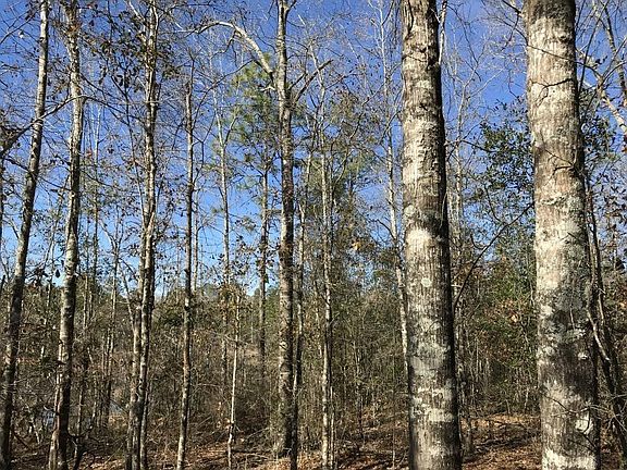 0 Old Gulfcrest Rd, Chunchula, AL 36521 | MLS #0660155 | Zillow