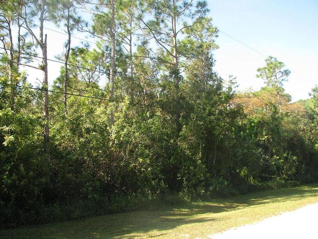 12398 Tangerine Blvd, West Palm Beach, FL 33412 | Zillow