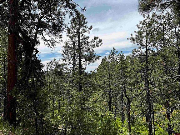 282 Blue Ridge Circle, Bayfield, CO 81122 | MLS #818247 | Zillow