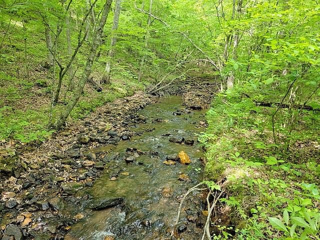 Tbd6 Shortcut Rd, Woolwine, VA 24185 | Zillow