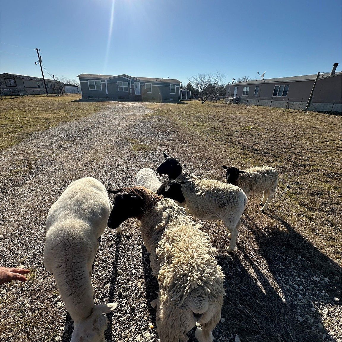 1581 NE County Road 2120, Powell, TX 75153 | Zillow