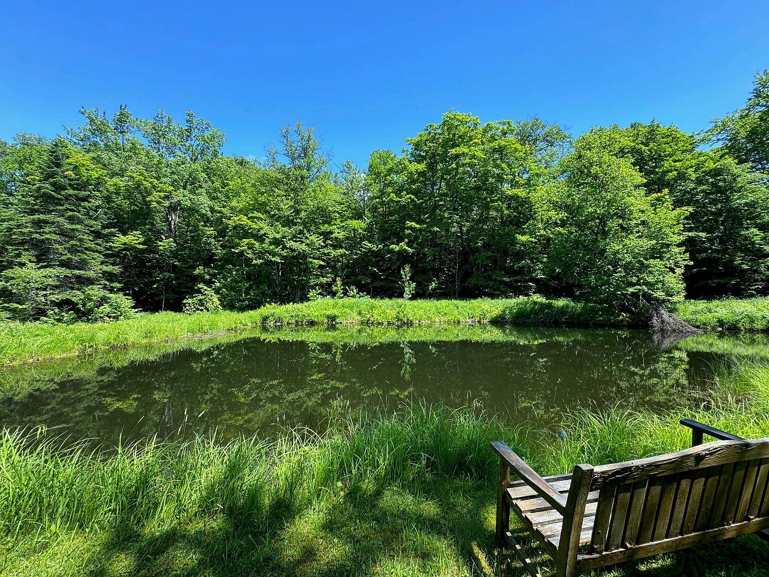 448 Eastern Avenue, East Hardwick, VT 05836 | Zillow