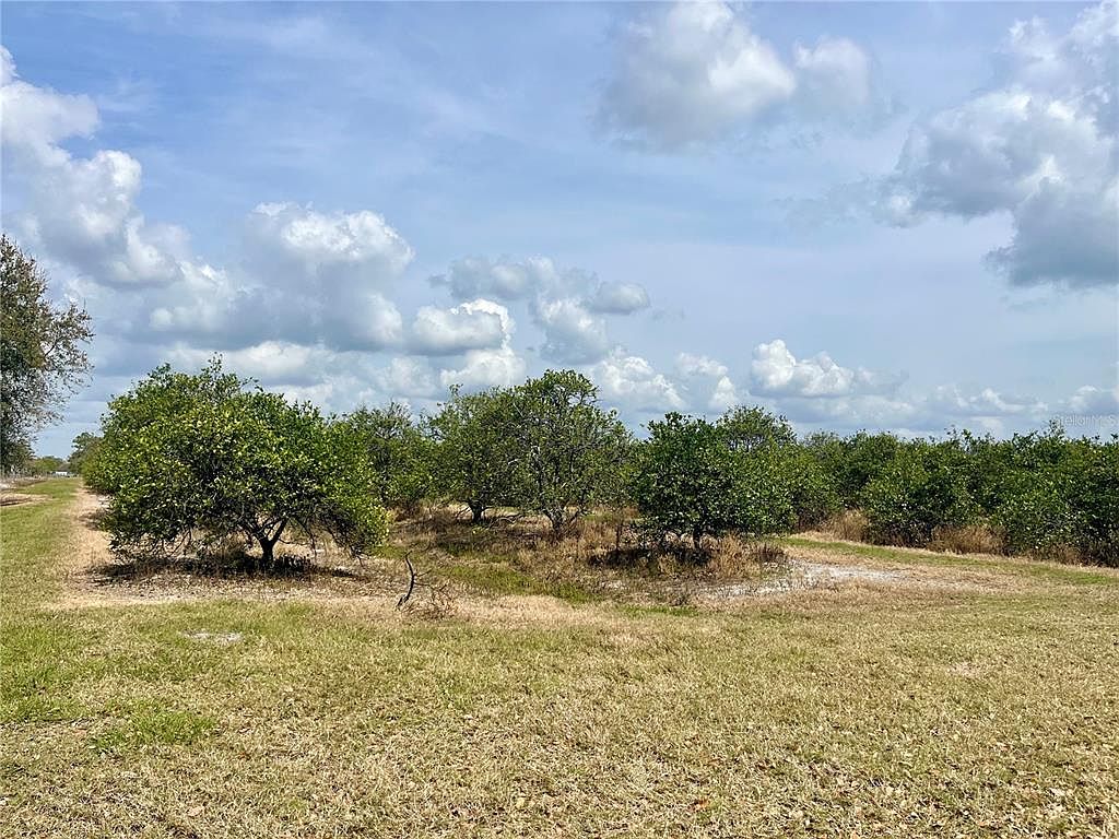 Fish Branch Rd LOT 0, Zolfo Springs, FL 33890 | Zillow
