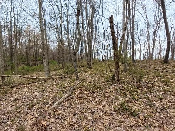 0 George Pl, Tomahawk, KY 41262 | Zillow