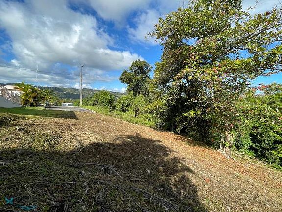 Km 11.8 Prairie Lote #149-5, Ciales, PR 00638 | Zillow