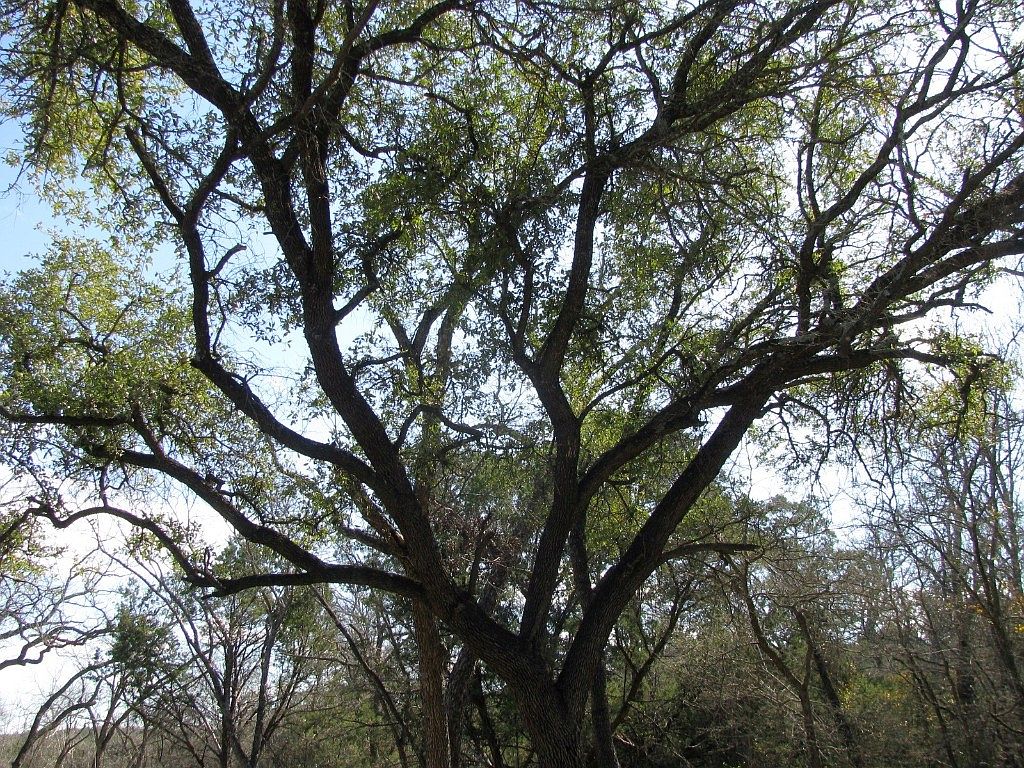 42 Ph Pr #4-42129, Evant, TX 76525 | MLS #20529742 | Zillow