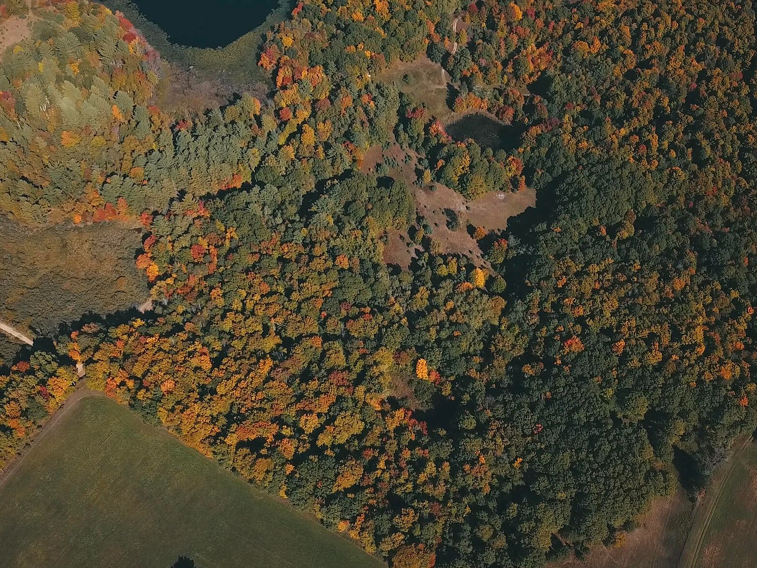 16 Mile Rd, Leroy, MI 49655 | Zillow