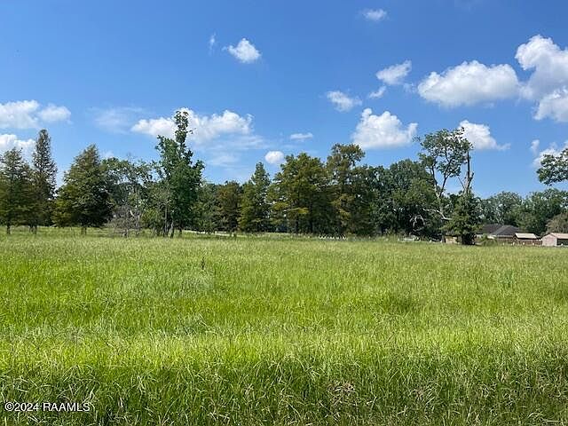 Walnut Rd, Abbeville, LA 70510 | MLS #24006300 | Zillow