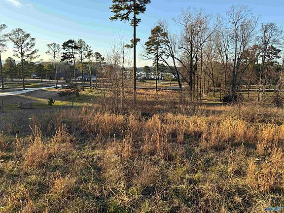 County Road 67, Section, AL 35771 | MLS #21883842 | Zillow