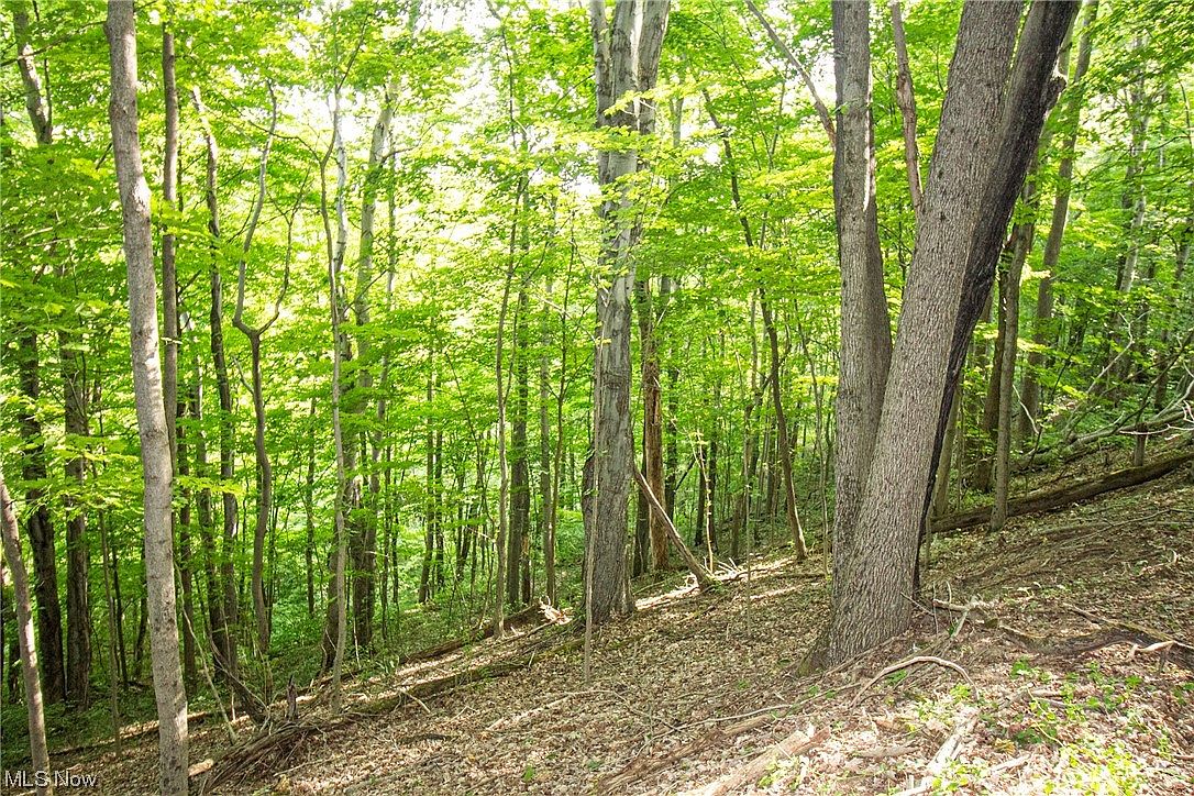 0 Eddy Ridge Rd, Wingett Run, OH 45789 | Zillow