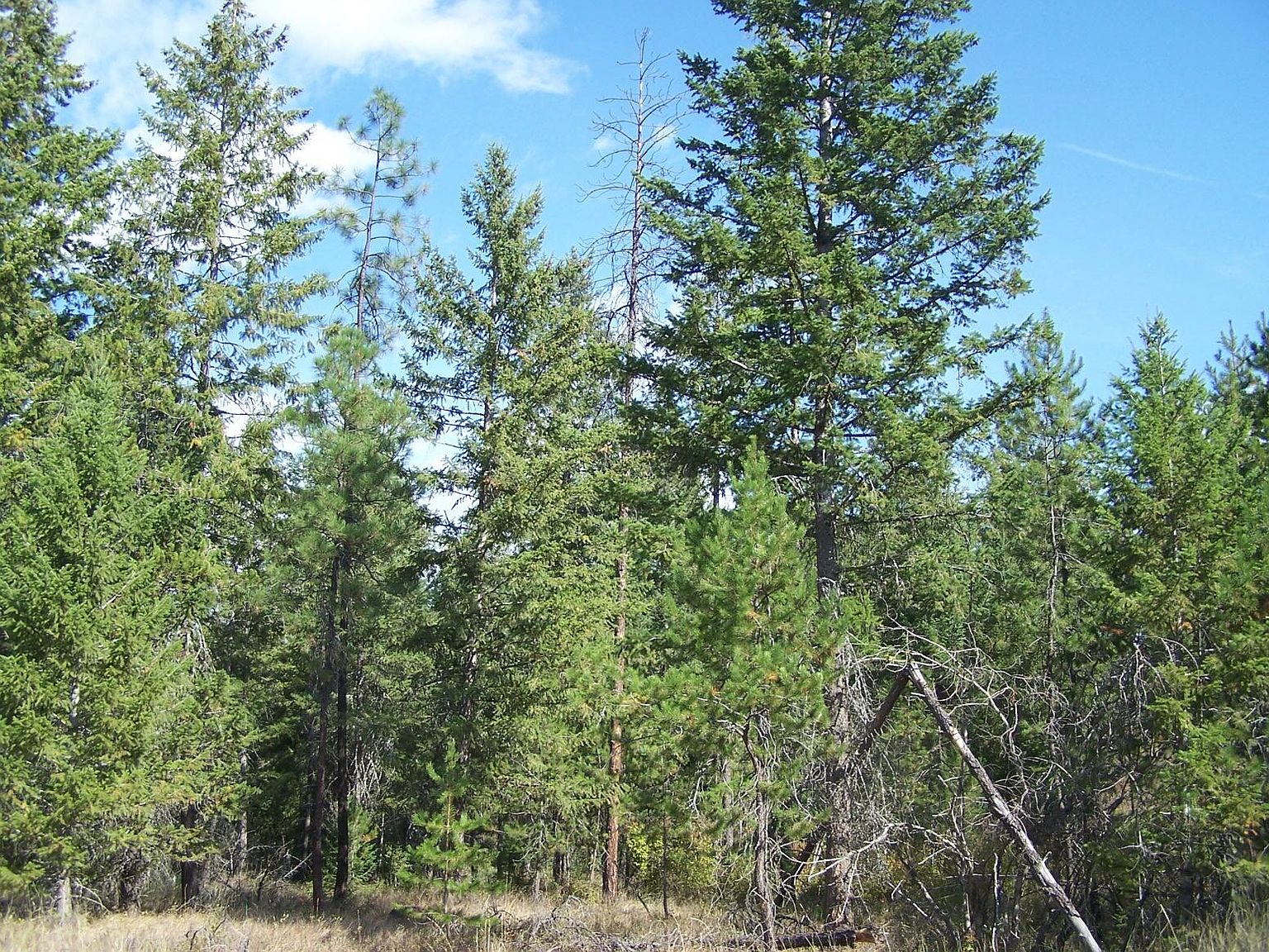 4 Lyons Hill Rd, Springdale, WA 99173 | Zillow