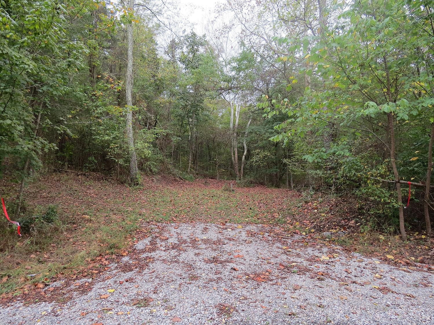 2500 E State Road 62, Canaan, IN 47224 | Zillow