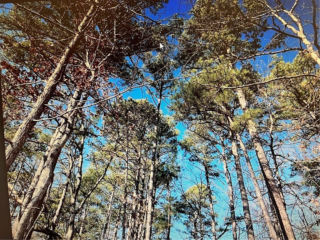 Warton Ln #13, Bella Vista, AR 72714 | Zillow