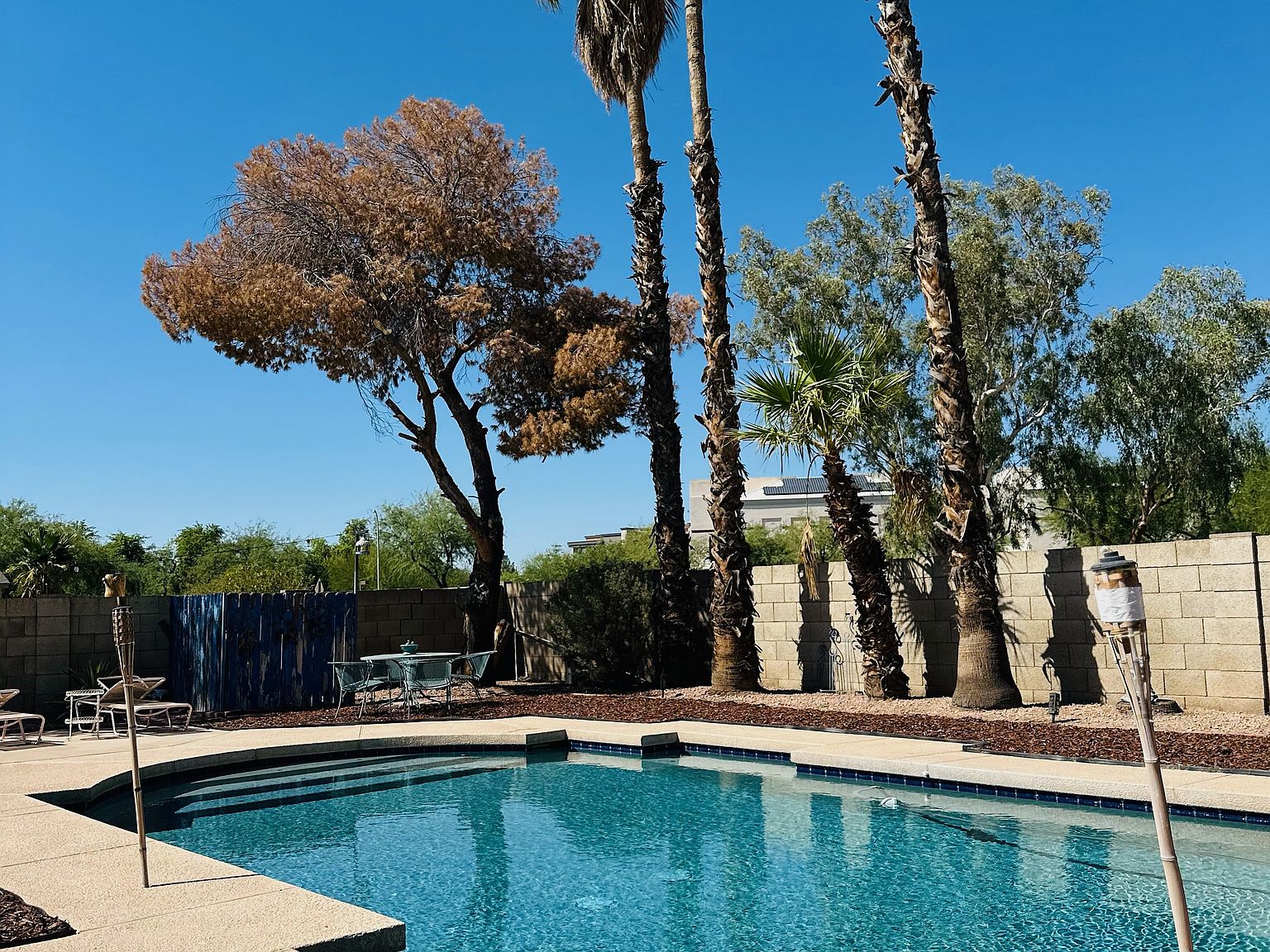 (Undisclosed Address), Chandler, AZ 85226 | Zillow