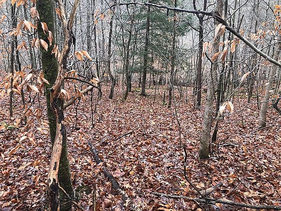 0 Rocket Boys Dr, Squire, WV 24884 | Zillow