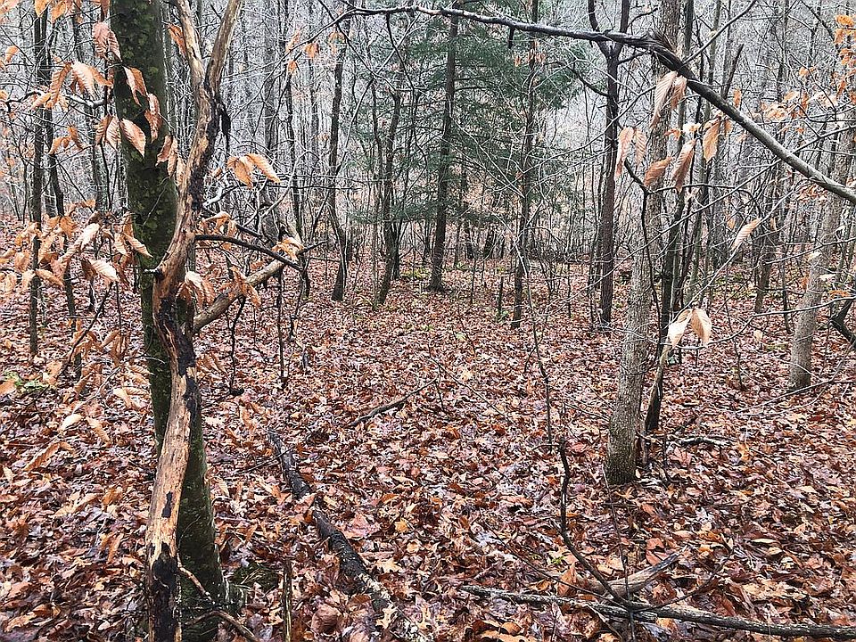 0 Rocket Boys Dr, Squire, WV 24884 | Zillow