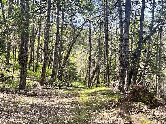 29500 Eel River Ranch Rd, Covelo, CA 95428 | MLS #324030198 | Zillow