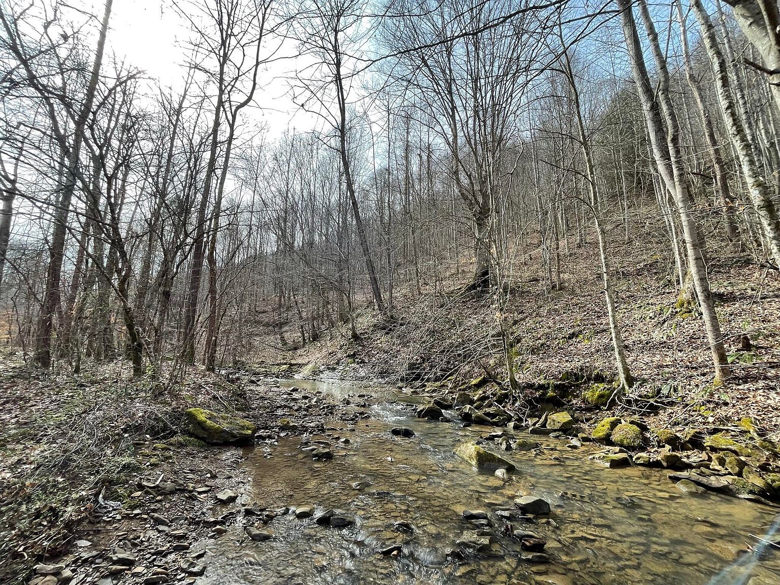 9999 Trace Branch Rd, Walker, KY 40997 | Zillow