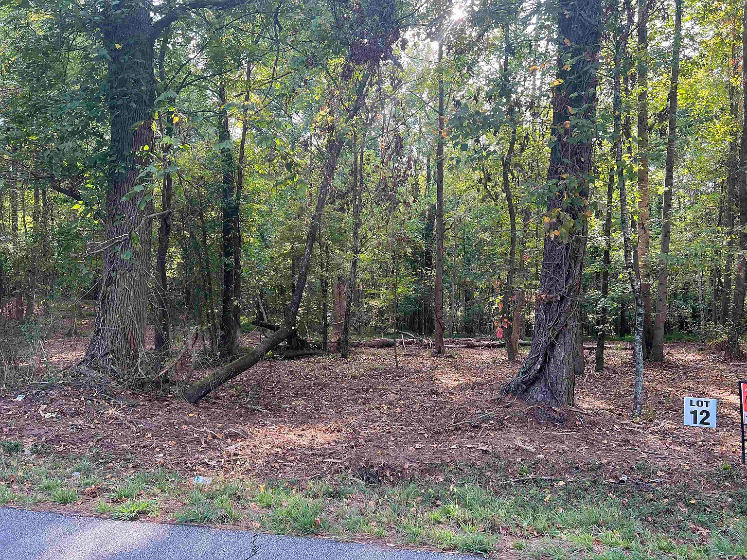 12 Kent Rock Rd, Loganville, GA 30052 | Zillow