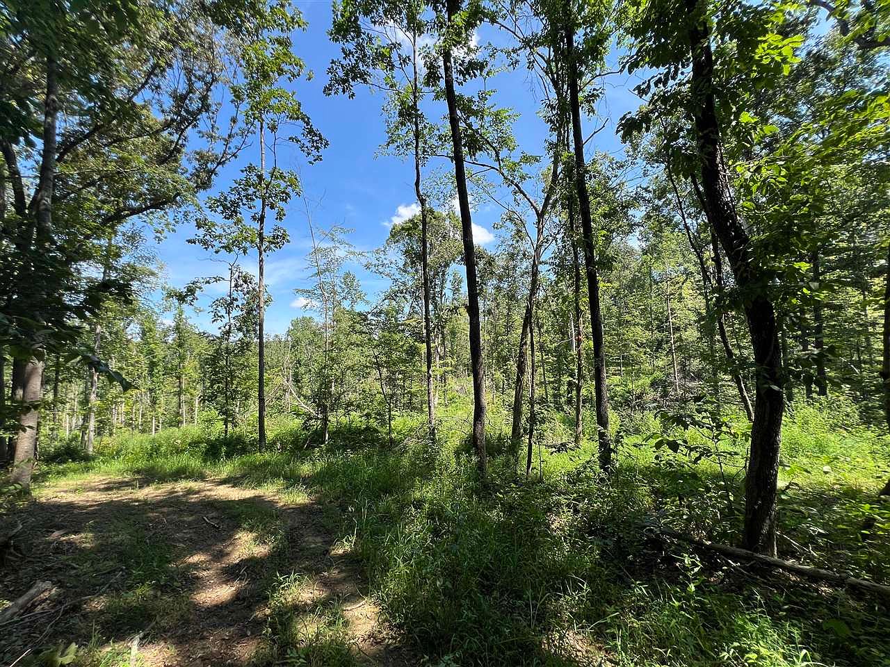 3708 E New Roe Rd, Adolphus, KY 42120 | Zillow
