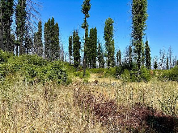 4605 Last Chance Rd, Davenport, CA 95017 | MLS #ML81977075 | Zillow