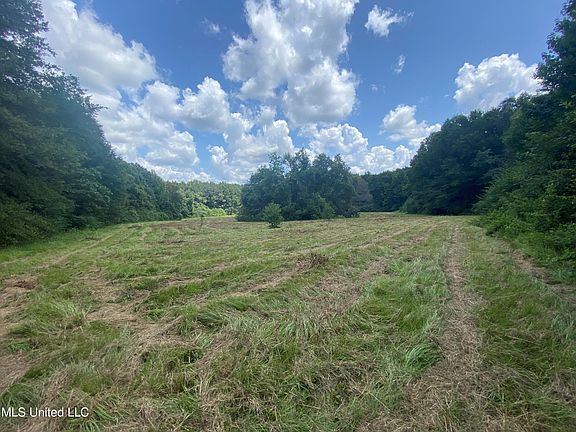 Highway 483 N, Lena, MS 39094 | Zillow