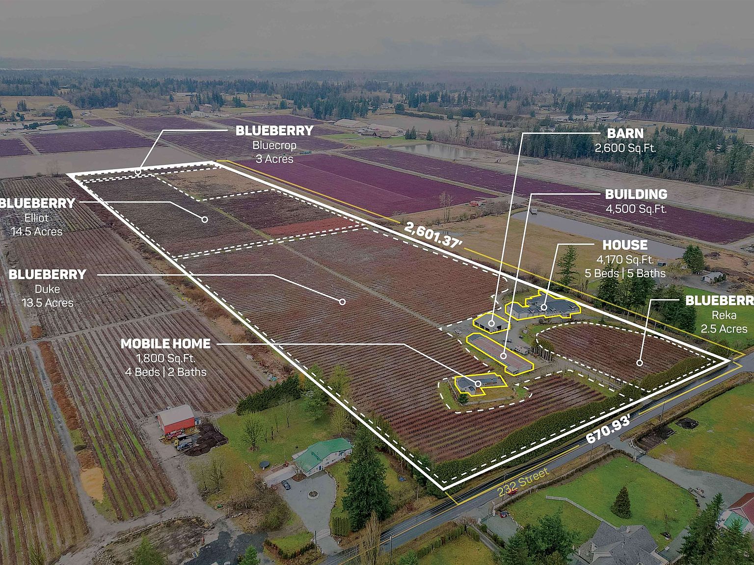 1975 232nd St, Langley, BC V2Z 2Z6 | MLS #R2887134 | Zillow