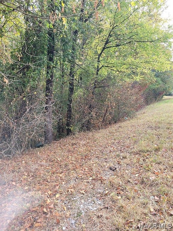 0 State Highway 145, Clanton, AL 35046 | MLS #548420 | Zillow