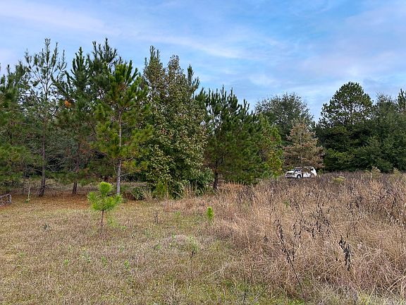 0 Willtown Rd, Hollywood, SC 29449 | MLS #25001628 | Zillow