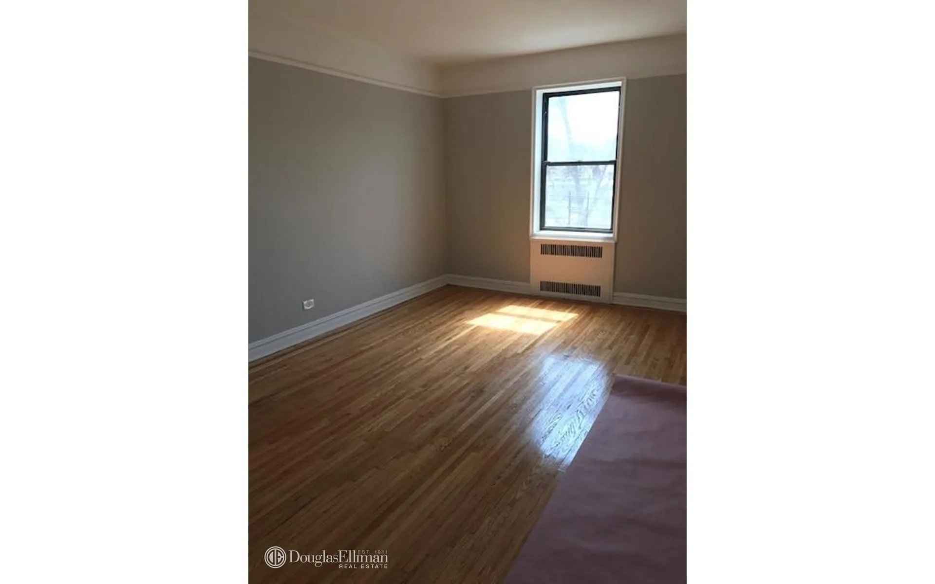 125 Hawthorne Street #4E in Prospect Lefferts Gardens, Brooklyn ...