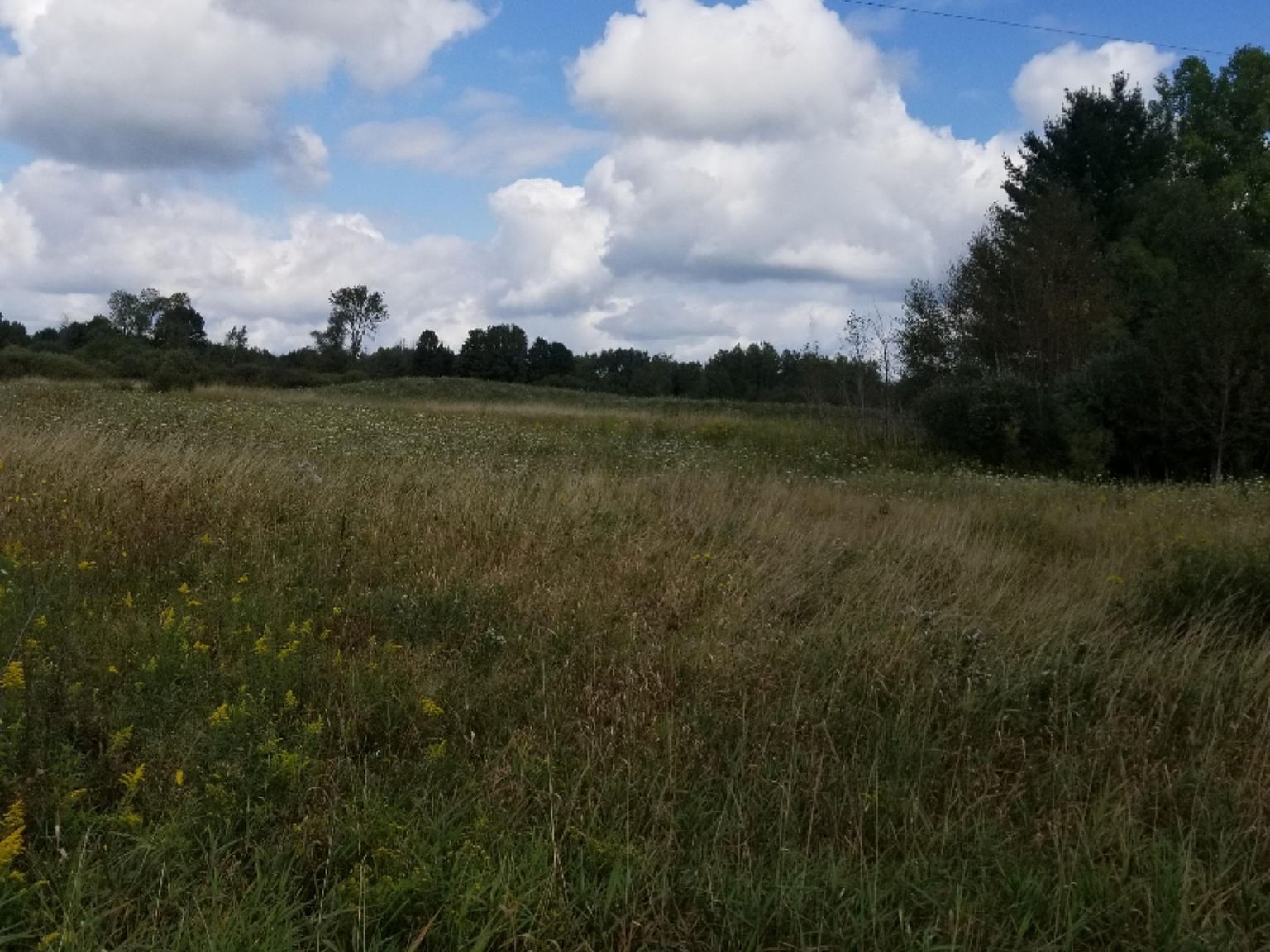 4 Mile Rd, Sears, MI 49679 | Zillow