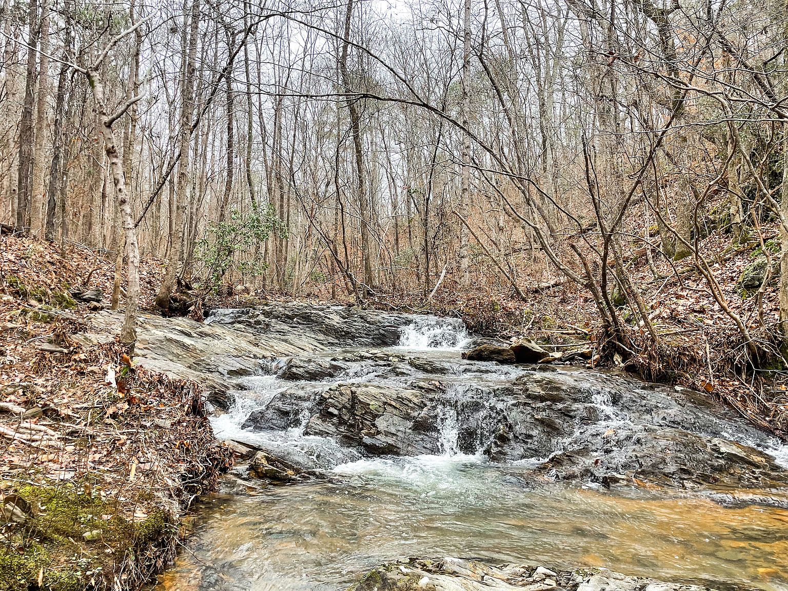 537 John Lightsey Ln LOT WP001, Childersburg, AL 35044 | Zillow