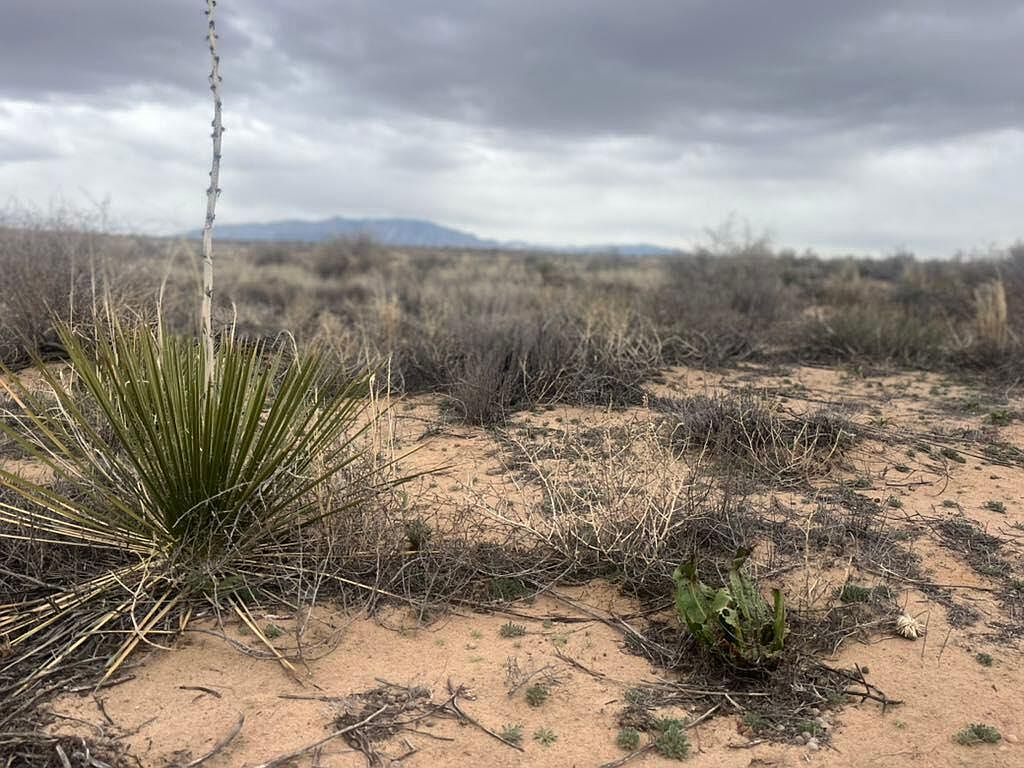 2101 Altamont Dr NE, Rio Rancho, NM 87144 | MLS #1031256 | Zillow