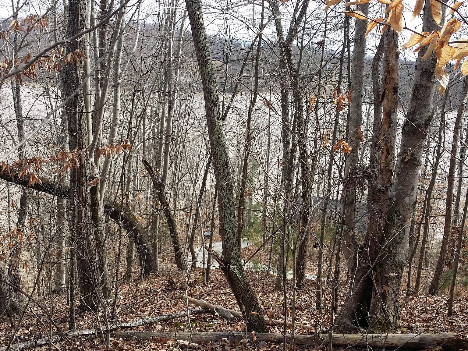 LOT 20 Ball Point, Sharps Chapel, TN 37866 | Zillow